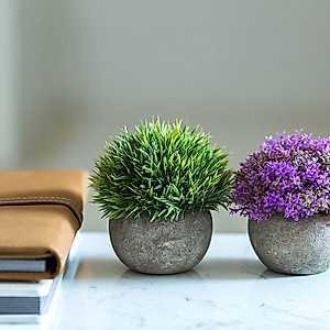 HC STAR Potted Artificial Pant Fake Green Grass with Pot Decorative Lifelike Set of 6 (High-Foot, Green-4 & Purple-2)