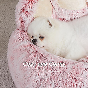 Jiupety Cozy Comfy Small Dog Bed | Upgraded Soothing Paw Donut Bed | L Size 26" × 26" × 8" | Creative Bear Paws Design