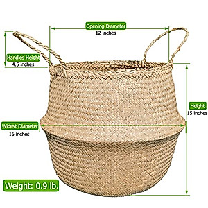 Natural Craft Extra Large Size(16x16x15 inches) Seagrass Belly Basket for Storage, Laundry, Picnic and Woven Straw Beach Bag - Plant Pots Cover Indoor Decorative