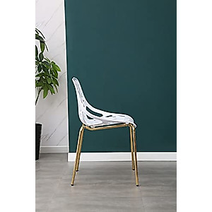 Pozbee Modern White Dining Chairs Set of 2, Birch Sapling Style Chairs for Dining Room, Hotels, Restaurants Indoor Outdoor, Elegant Kitchen Chairs with Gold Legs (2, White)