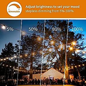 RTTY Solar String Lights Outdoor Waterproof 100ft with Remote and 52 Edison Bulb,Dimmable&Shatterproof,ST38 Solar Powered String Lights for Outside,Patio,Porch