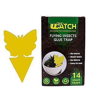 UCatch Gnat Sticky Traps for Plants - Effective Gnat Traps for House Indoor and Outdoor Garden with Super Sticky Adhesive | Yellow Fruit Fly Trap for Mosquitos, Black Flies, Fungus Gnats | Pack of 14