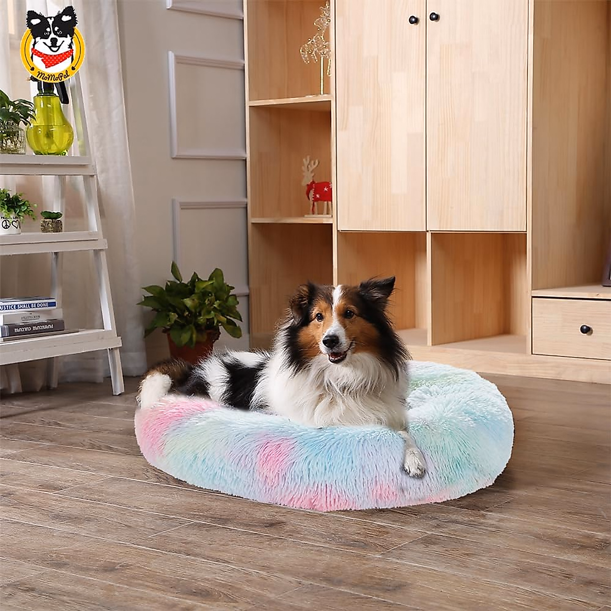 Cat Beds for Indoor Cats - Cat Bed Washable 24 inches, Dog Beds for Small Medium Dogs, Anti Anxiety Round Fluffy Plush Faux Fur Cat Bed, Thick Bottom (Rainbow, Large)