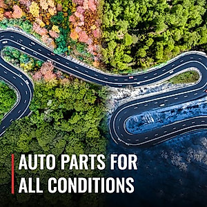 Denso 234-9021 Upstream Heated Oxygen Sensor with 4-Wire Plug and 14.17â€ Harness