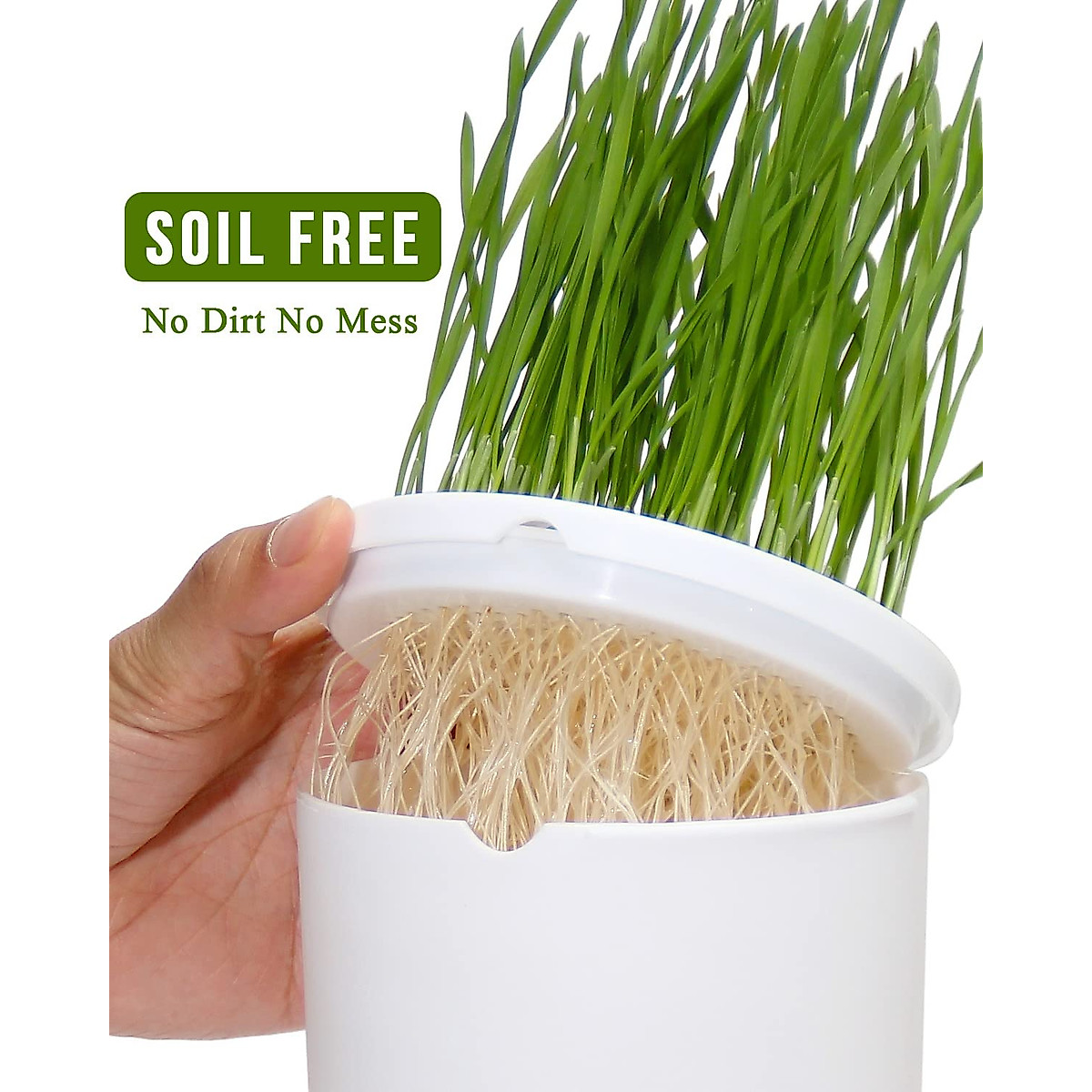 BENPIN 2Pcs Hydroponic Cat Grass Planter (no Seeds Included), Soil Free, No Dirt No Mess No Smell, Anti Digging Design, Easy to Plant Cat Grass Kit, Cat Grass for Indoor Cats Pets (Matte White)