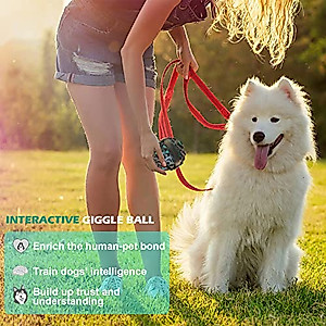 MITAIKO Dog Toy Ball for Aggressive Chewers, Interactive Fetch Dog Ball with Fun Squeaky Giggle Sound, Durable for Small Medium Large Dogs, Non-Toxic Elastic Rubber Pet Chew Toys, Black & Lake Blue