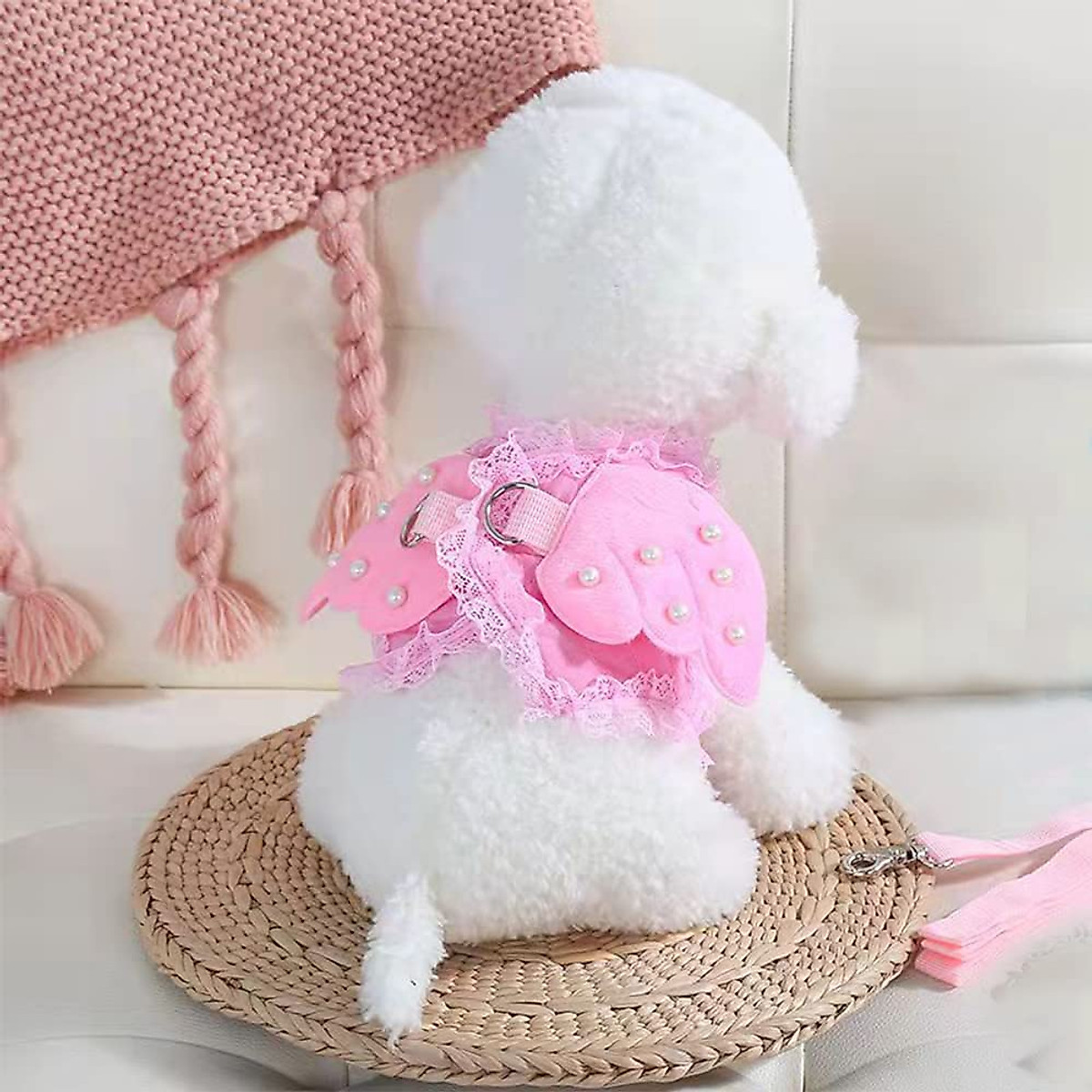 Pink Cute Adorable Pet Cat Dog Harness and Leash Set with Lace Artificial Pearl Angel Wing (Small)
