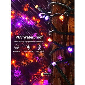 Flacchi 2 Pack Solar Halloween Lights Total 144ft 400 LED 8 Modes Outdoor String Lights Waterproof Solar Fairy Lights for Garden, Patio, Fence, Balcony, Outdoors,Holiday Decoration (Orange & Purple)