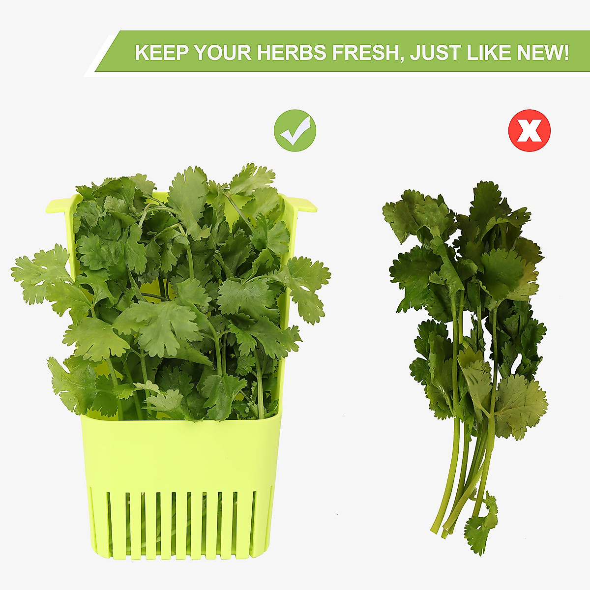 LUVCOSY Fresh Herb Keeper for Refrigerator, Clear BPA-Free Herb Saver, Storage Container for Cilantro, Parsley, Thyme, Mint & Asparagus, Preserver Keeps Fresh Herbs for 3 Times Longer, Green & Orange