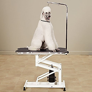 Pet Edge Master Equipment Black Bone Shaped Hydraulic Pet Grooming Table – Foot Operated Hydraulic Pump for 220-Lb. Dogs