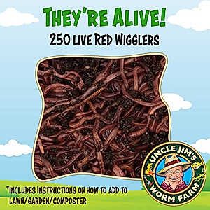 Uncle Jim's Worm Farm Red Wiggler Live Composting Worms Mix for Garden Soil or Fishing | Pack of Compost Improves Structure and Quality Healthier Gardens 250 Count