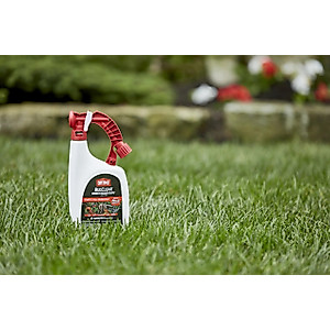 Ortho BugClear Insect Killer for Lawns and Landscapes Ready to Spray, Kills Periodical Cicadas, Ants, Spiders, Fleas, and Ticks, 32 oz., 3-Pack