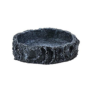 Bitray Reptile Water Dish Food Bowl Rock Worm Feeder for Leopard Gecko Lizard Spider Scorpion Chameleon (2 Pack,Green)