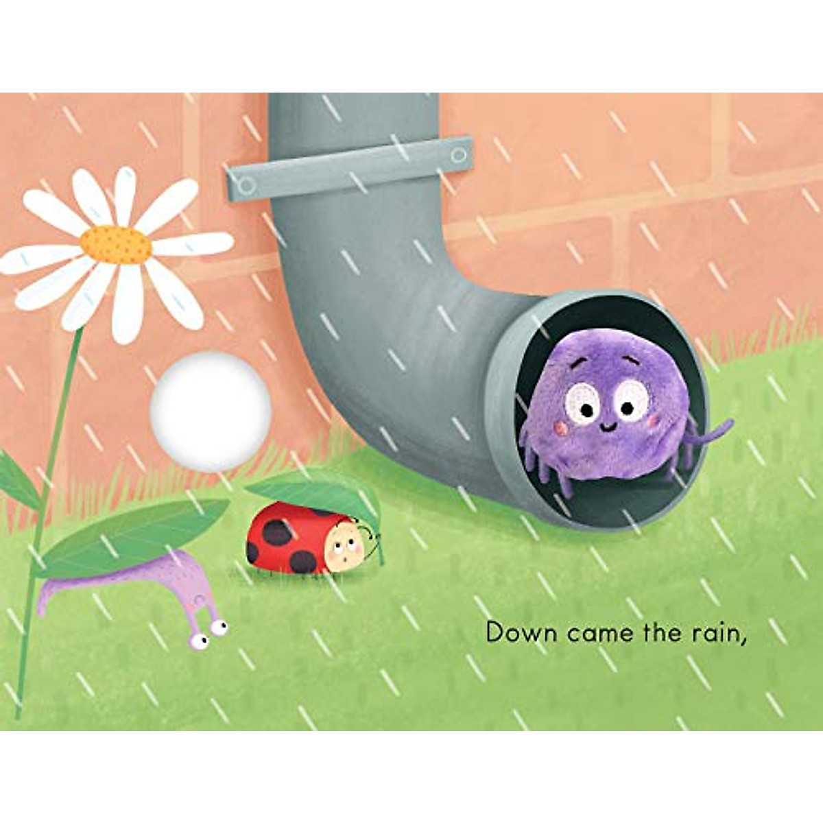 Itsy Bitsy Spider - Children's Finger Puppet Board Book