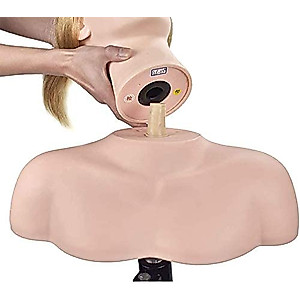 ZMS Professional Cosmetology Mannequin Head Shoulder Model Bust Shoulder Platform for Training Manikin Head