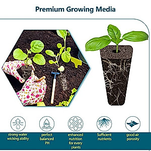 Yoocaa Seed Pods Kit for Hydroponics Growing System, 24pcs Grow Sponges with A&B Solid Nutrient Plant Foods, Seed Starter Pods Replacement Root Growth Sponges Compatible with Idoo,QYO, LYKO (Square)