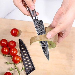 Fukep Paring Knife 3.5 inch - Kitchen Fruit Knife Forged from Stainless Steel 5Cr15Mov(HRC56), Razor Sharp Small Paring Knife with Cover for Home, Small Kitchen Knife for Peeling, and Cutting Fruit