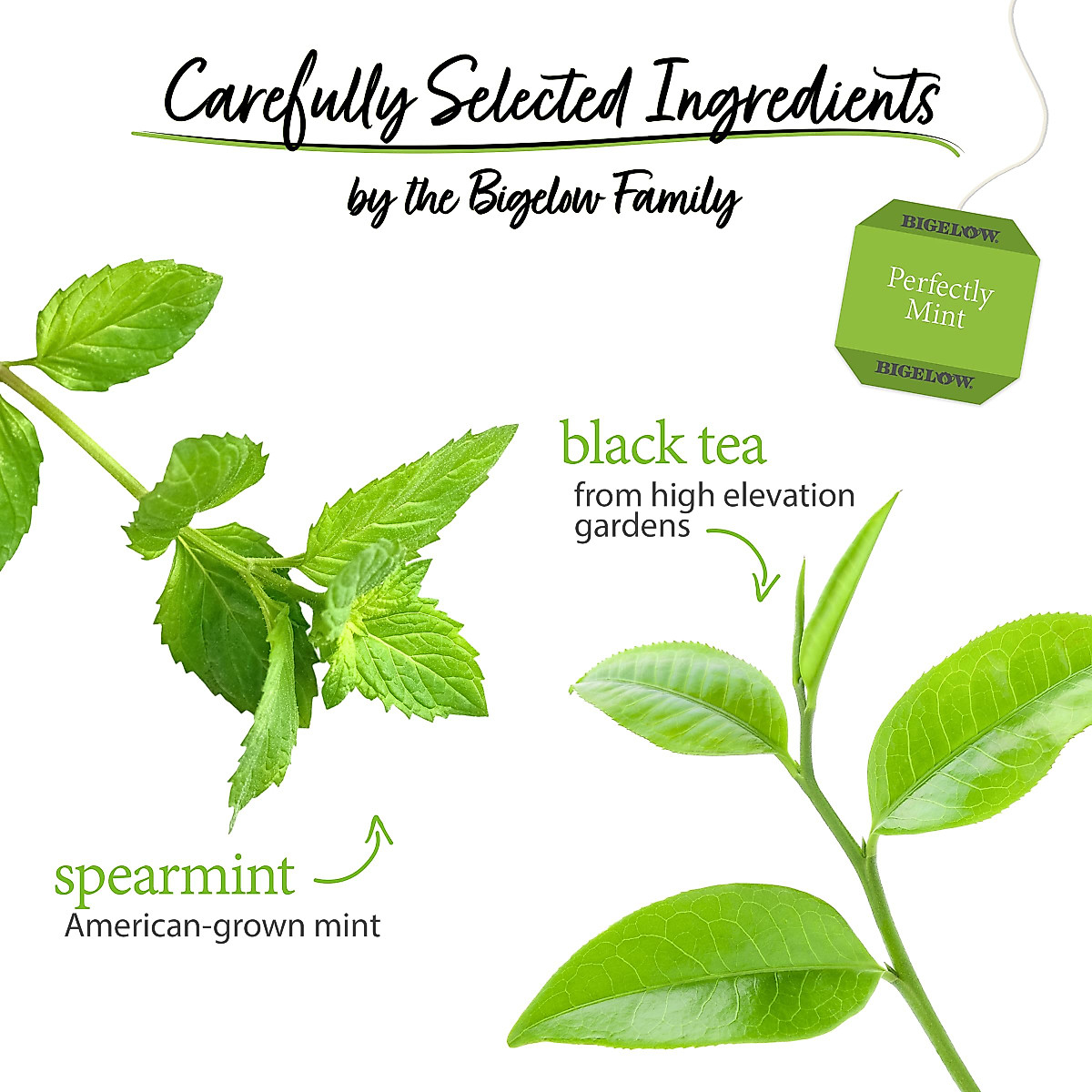 Bigelow Perfectly Mint Black Tea, Caffeinated, 20 Count (Pack of 6), 120 Total Tea Bags