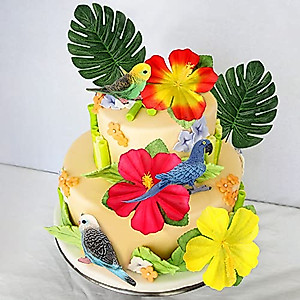 JeVenis Parrot Birthday Cake Decoration Tropical Bird Cupcake Decoration Parrot Party Supplies Tropical Bird Cake Decoration Parrot Birthday Party Decoration