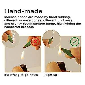 Incense Cones 120 Pcs, with Incense Holder, Mixed Natural Scents Deco Sandalwood Lavender Rose Sage Cinnamon Eucalyptus Rainforest Violet, 8 Assorted Boxes