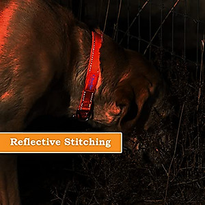 PAWBLEFY Personalized Dog Collars - Reflective Nylon Collar Customized with Name and Phone Number - Adjustable Sizes for Small Dogs, Medium, and Large - 4 Colors for Male Female boy Girl Puppies