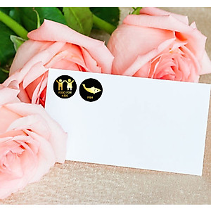 1 Inch Wedding Meal Choice Stickers Wedding Meal Indicator Stickers - Beef Fish Chicken Food for Kids Stickers Place Card Menu Choices Catering Food Stickers for Wedding Party 300Pcs