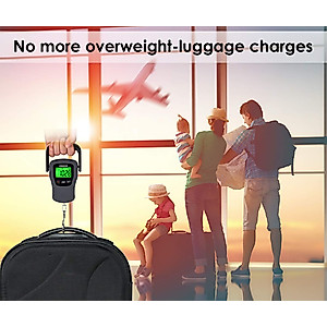 Digital Hanging Luggage Scale with Comfortable Handle and Large Hook, 110lb/50kg, Backlit Portable Scale for Travel Fishing with Tare/Hold Function, AAA Batteries Included, Grey