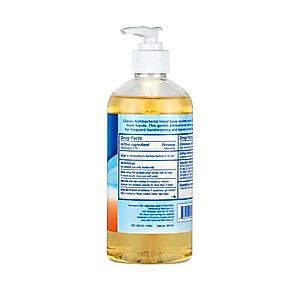 Clorox Antibacterial Liquid Hand Soap Pump - 16 oz Citrus Burst Antibacterial Hand Soap - Liquid Hand Soap Eliminates Germs and Bacteria, Soft on Hands Tough on Dirt