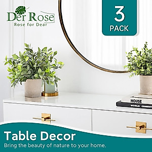 Der Rose 3 Pack Mini Potted Fake Plants Artificial Plastic Eucalyptus Plants for Home Office Desk Farmhouse Room Decor
