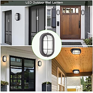 Gruenlich LED Bulkhead Light Worked as Wall Lantern Wall Sconce or Flush Mount Ceiling Light, 6W Replace 60W, 520 Lumen, Dimmable 5000K Daylight White, Water-Proof for Outdoor, 2-Pack