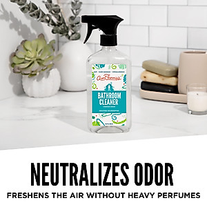 Aunt Fannie's All Purpose Bathroom Cleaner Vinegar Spray for Shower, Tub, Toilet, Tile, Sink and Fixtures, 16.9 Ounces (Single)