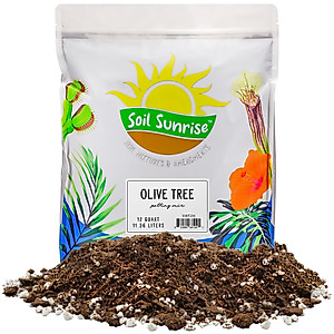 Olive Tree Potting Soil Mix (12 Quarts), for Planting, Repotting, and Growing Olive Bushes/Plants