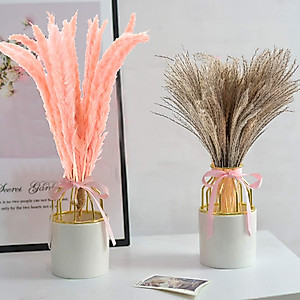 XHXSTORE 30pcs Dried Pink Pampas Grass 17" Natural Small Pompous Grass Fluffy Reed Grass for Home Wedding Party Boho Table Ceterpieces Decor