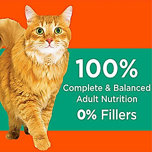 IAMS PROACTIVE HEALTH Adult Hairball Care Dry Cat Food with Chicken and Salmon Cat Kibble, 7 lb. Bag