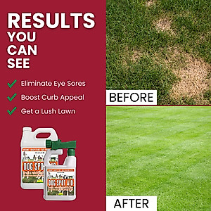 Nature’s Lawn & Garden - Spotless Lawn Dog Spot Aid - Revive and Protect Your Lawn from Dog Urine Burn - Remediate Spills and Road Salt Damage - Pet Safe - 1 Qt w/ Hose-end Sprayer
