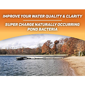 Crystal Blue Pond Booster - Crystal Blue Pond Dye & Natural Pond Cleaner Combo - Treats up to 1 Acre - Crystal Blue Water While Reducing Muck & Sludge - 1 Gallon