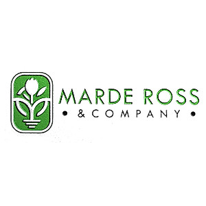 Marde Ross & Company Duchess De Nemours Double White Peony Bulbs - Bare Root 3-5 Eyes, Delightful Fragrance | Peony Plants for Planting Outdoors