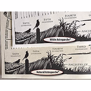 Family tree chart 2-per-order blank posters to be personalized w/genealogy, gifts for baby, men, women, grandparents, mother/father in-laws.