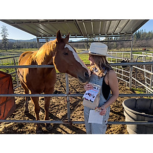 Fly Exterminator 50,000 NaturesGoodGuys