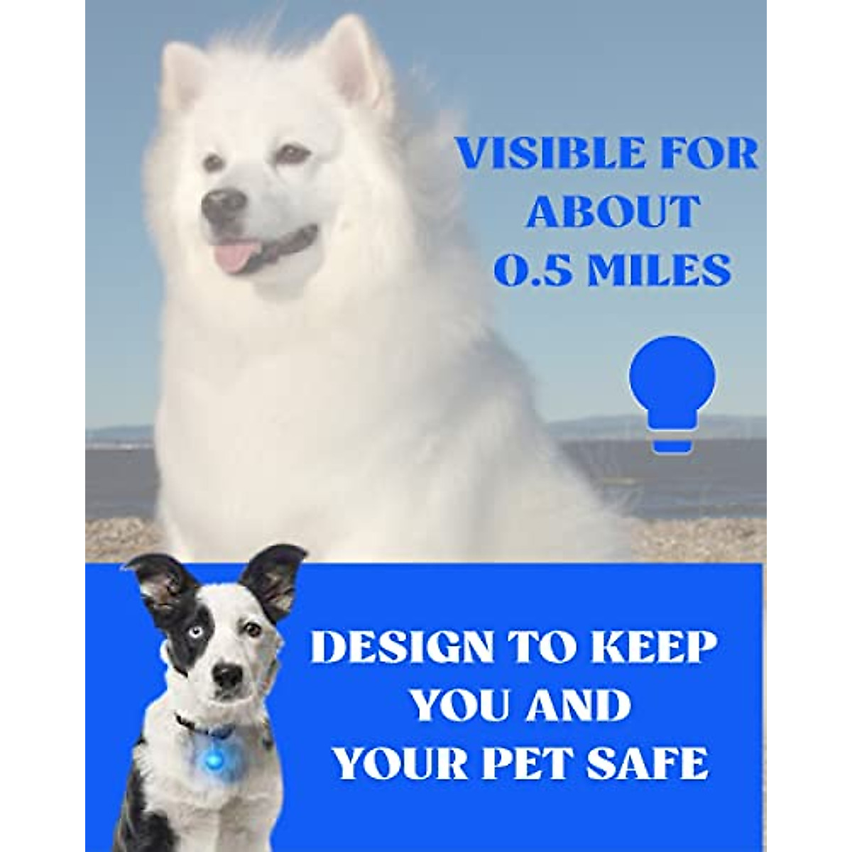 JayJos clip-on pet safety light, LED glow in the dark lights for your pet, weather resistant safety flashing lights for dogs, cats ,night walking, campers and bicycling Gifts For Pets, Keychain Light Blue