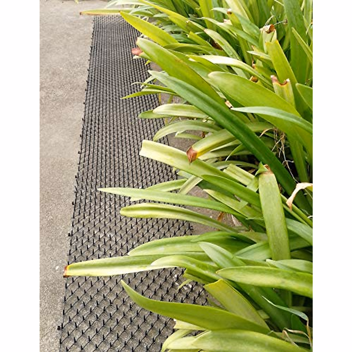 Cat Scat Mat Digging Stopper Prickle Strip Stop cat mat Keep cat Off 6.5 Foot 1pcs Green