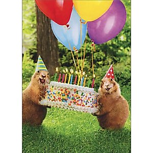 Avanti Press Two Prairie Dogs Carrying Cake and Balloons Funny/Humorous Birthday Card