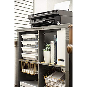 Plano PLA1313 Single Cubby Cube | Clear Storage Bin with Secure Latch, Clear with White Latch