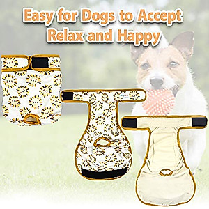 Langsprit Washable Female Dog Diapers (3 Pack) - No Leak Reusable Diapers for Doggy Female in Period - Highly Absorbent Dog Heat Panties with Adjustable Snaps (Rabbit, Owl, Lion, Medium)