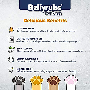 Bellyrubs Chicken Strips for Small to Large Dogs 20oz | Real Chicken Jerky Sticks | All-Natural Gluten & Grain Free Chicken Jerky Treats | High Protein Dog Training Chews | Made in USA