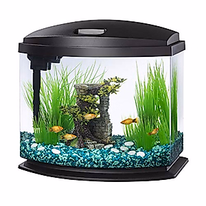 Aqueon LED MiniBow Small Aquarium Fish Tank Kit with SmartClean Technology, Black, 5 Gallon