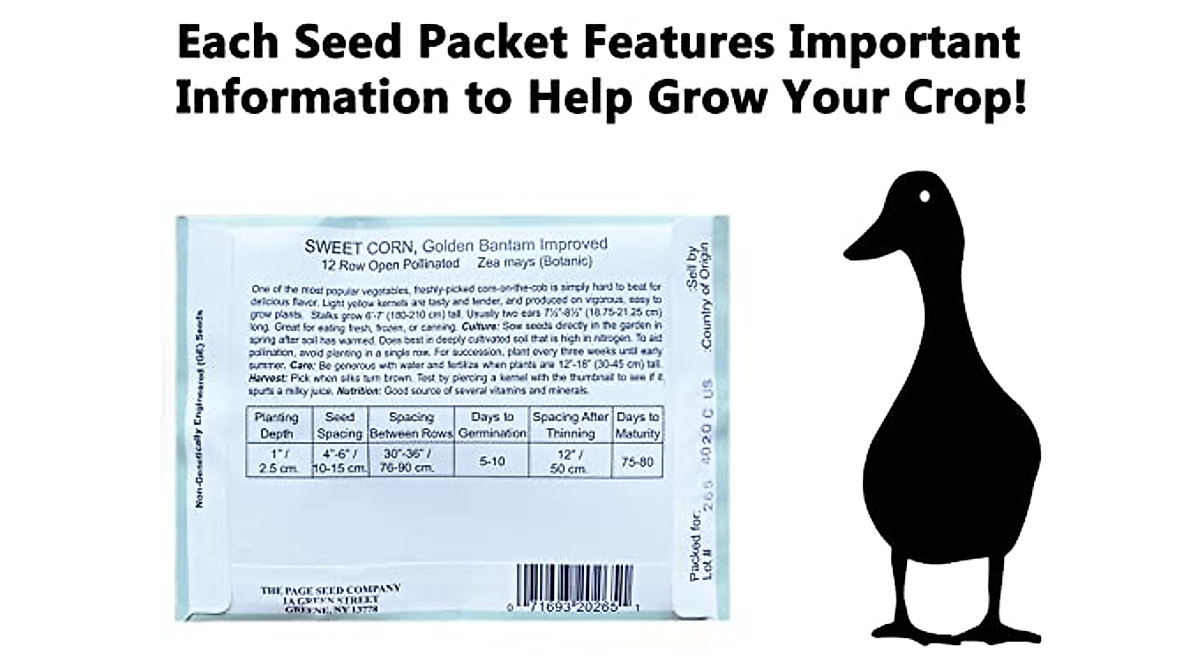 Set of 12 Golden Bantam Sweet Corn Seed Packs