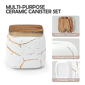 VETIN 3 Pcs Sugar Salt Container Set Containers for Sugar and Coffee Sugar Container Marble Jar Set Sugar Bowl Sugar Jar with Spoon and Lid