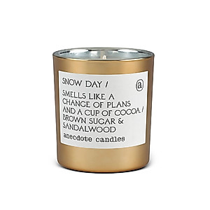 Anecdote Candles - Holiday Collection - Snow Day Tumbler Candle – Brown Sugar and Sandalwood – Coconut Soy Wax – Funny Non Toxic Scented Decorative Candles for Women Men and Home – 7.8 Ounces