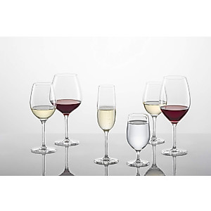 Schott Zwiesel Tritan Crystal Glass Banquet Stemware Collection All Purpose Red or White Wine Glass, 10.1 Ounce, Set of 6, 0002.121593